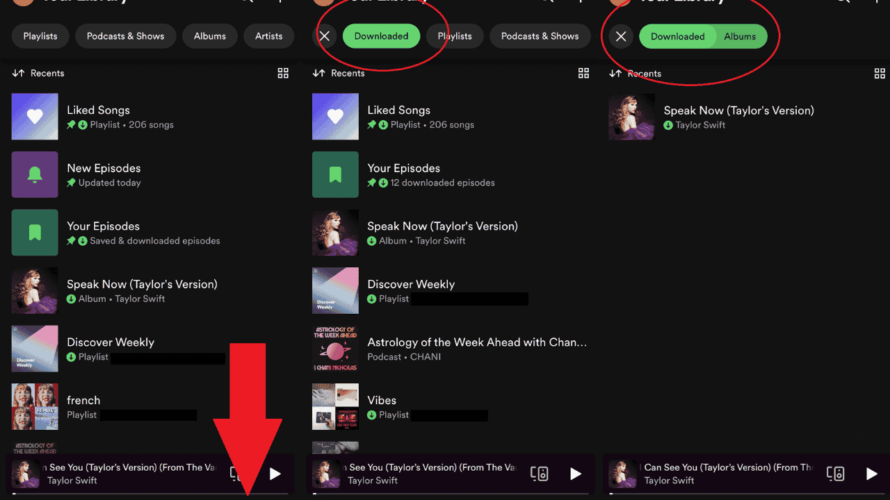 Spotify Playlist Downloader: Get Your Playlists Offline,